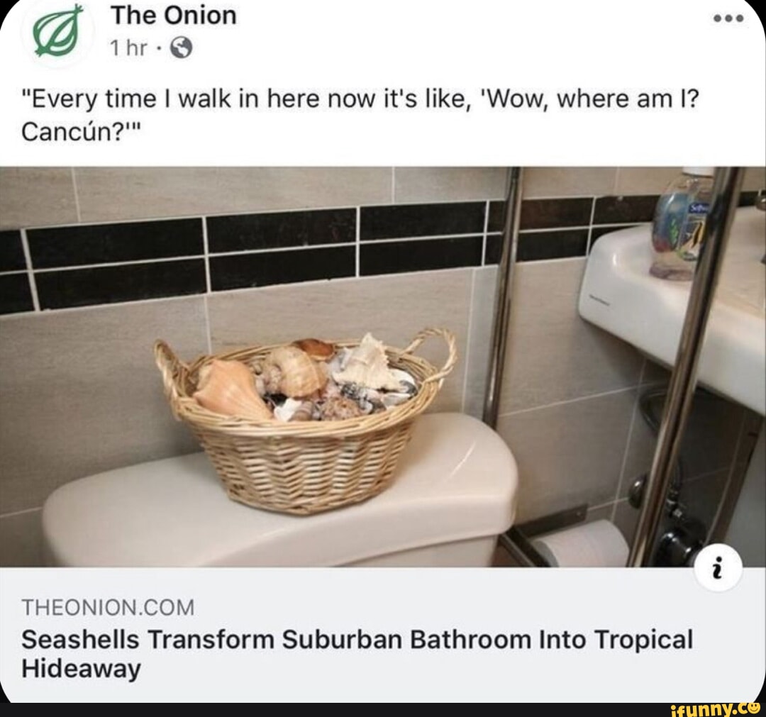 Seashells memes. Best Collection of funny Seashells pictures on iFunny