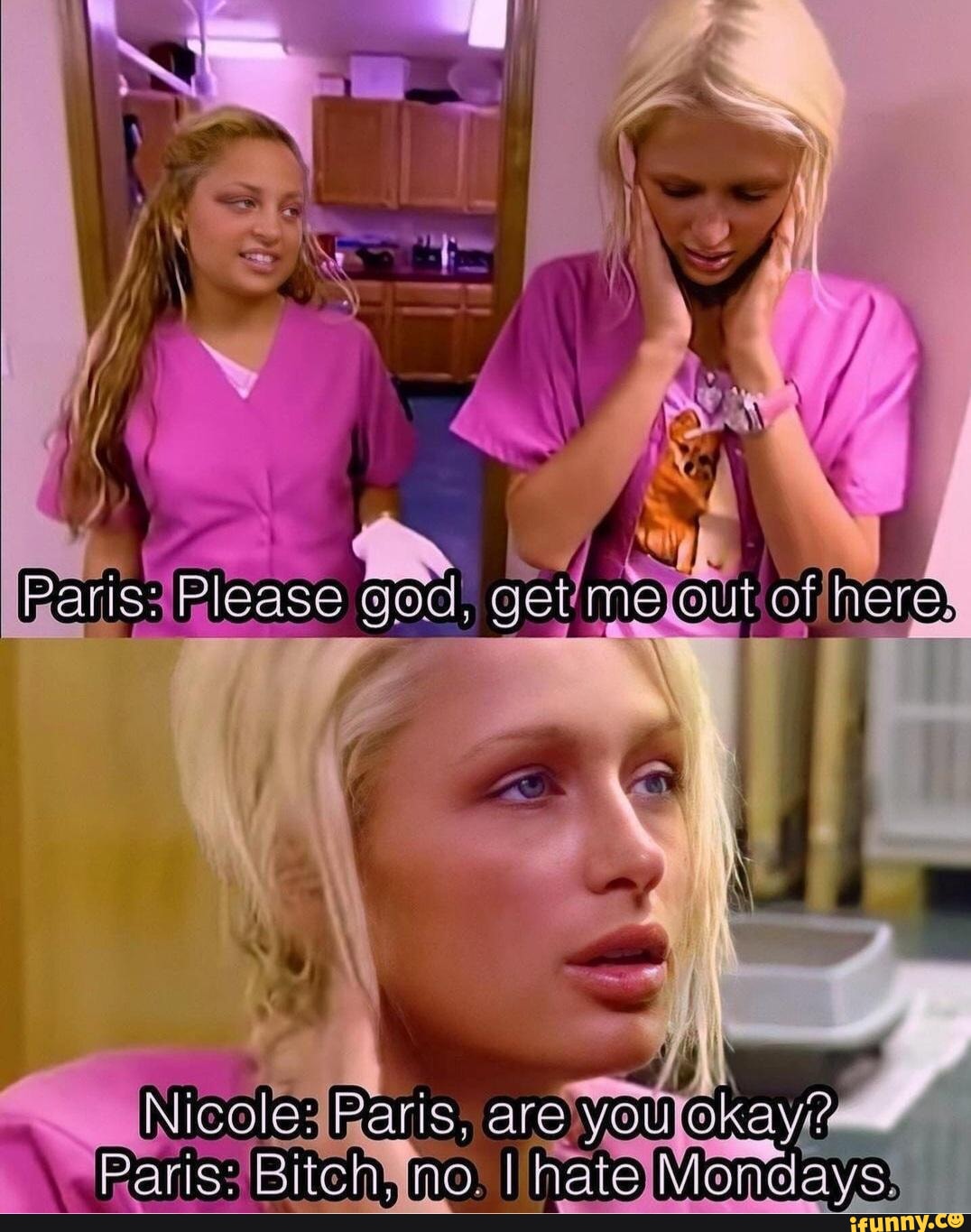 WTF fun fact #1b55 These are Silkie chickens, they are well known for ...