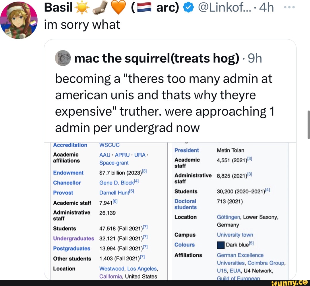 Undergrad memes. Best Collection of funny Undergrad pictures on iFunny