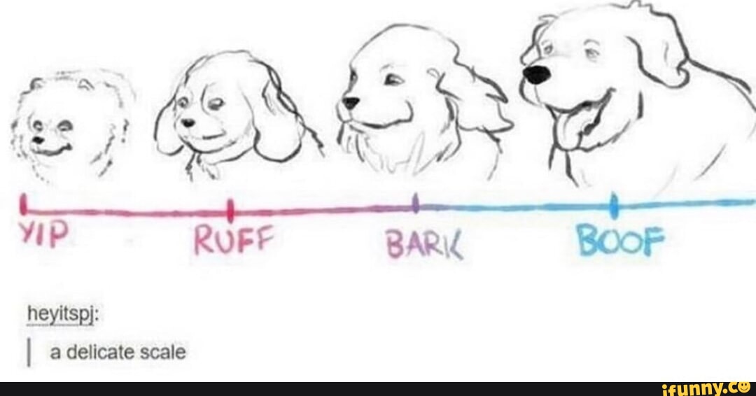 Scale memes. Best Collection of funny Scale pictures on iFunny