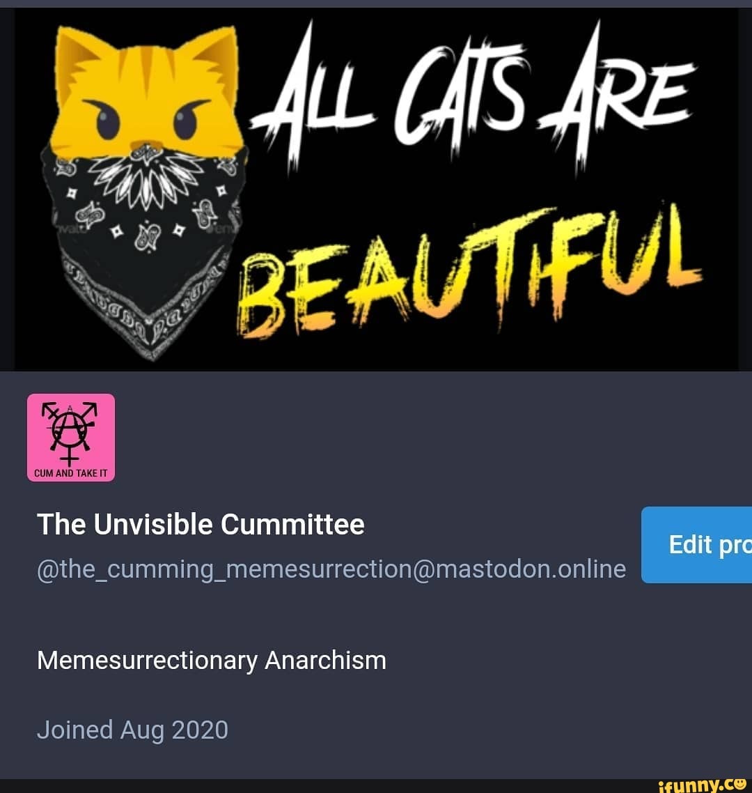 CUM AND TAKE IT The Unvisible Cummittee Edit prc Memesurrectionary ...