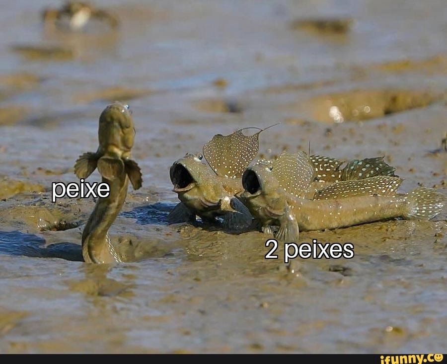 Peixe memes. Best Collection of funny Peixe pictures on iFunny