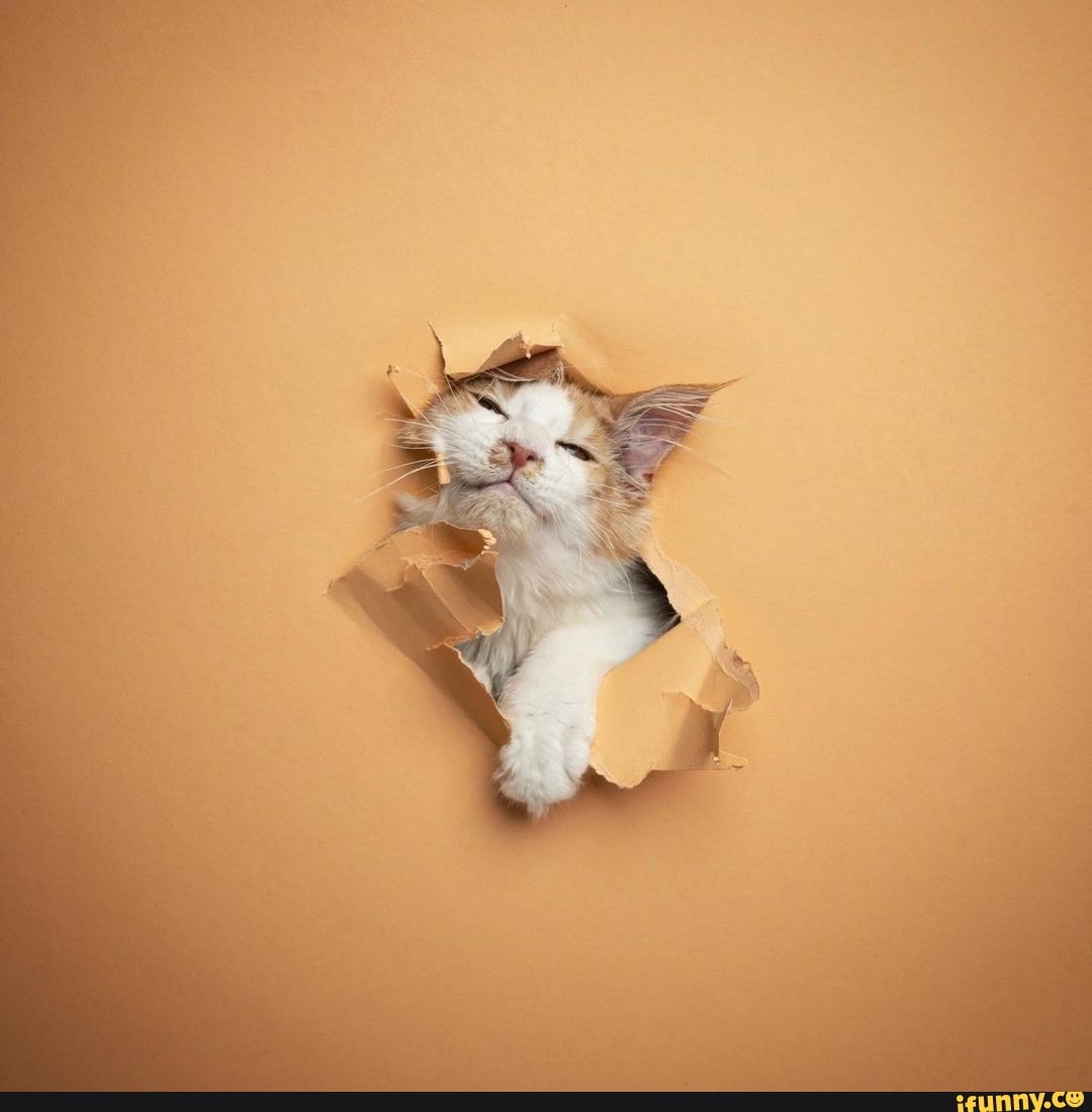 Snotty memes. Best Collection of funny Snotty pictures on iFunny