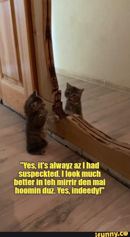 Indeedy memes. Best Collection of funny Indeedy pictures on iFunny