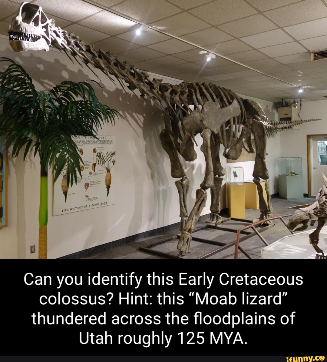 Can you identify this Early Cretaceous colossus? Hint: this "Moab ...