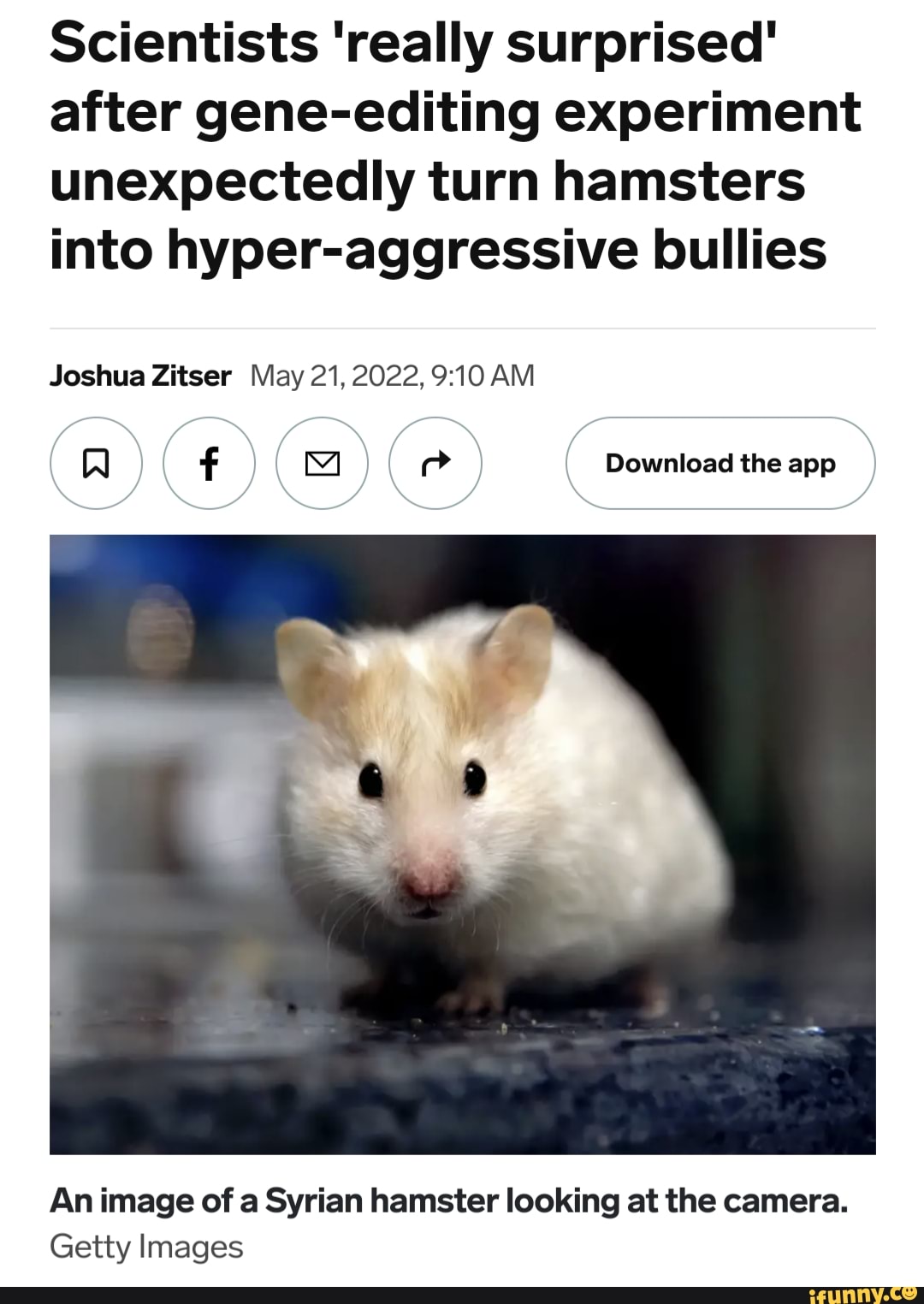 Scientists 'really surprised' after gene-editing experiment ...