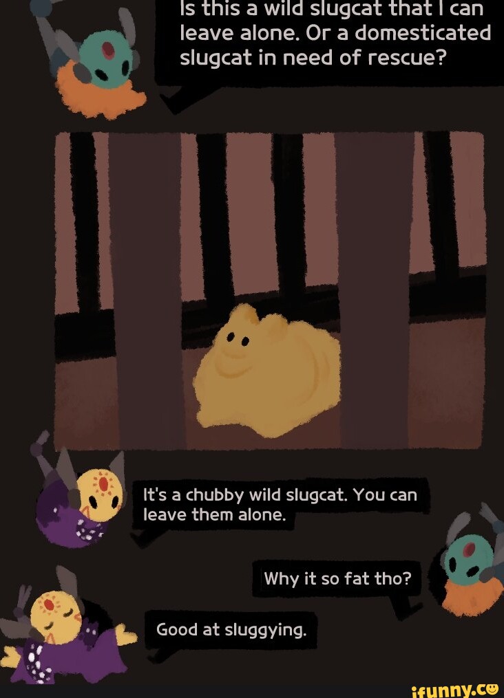 Bigsismoon memes. Best Collection of funny Bigsismoon pictures on iFunny