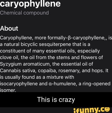 Constituent memes. Best Collection of funny Constituent pictures on iFunny