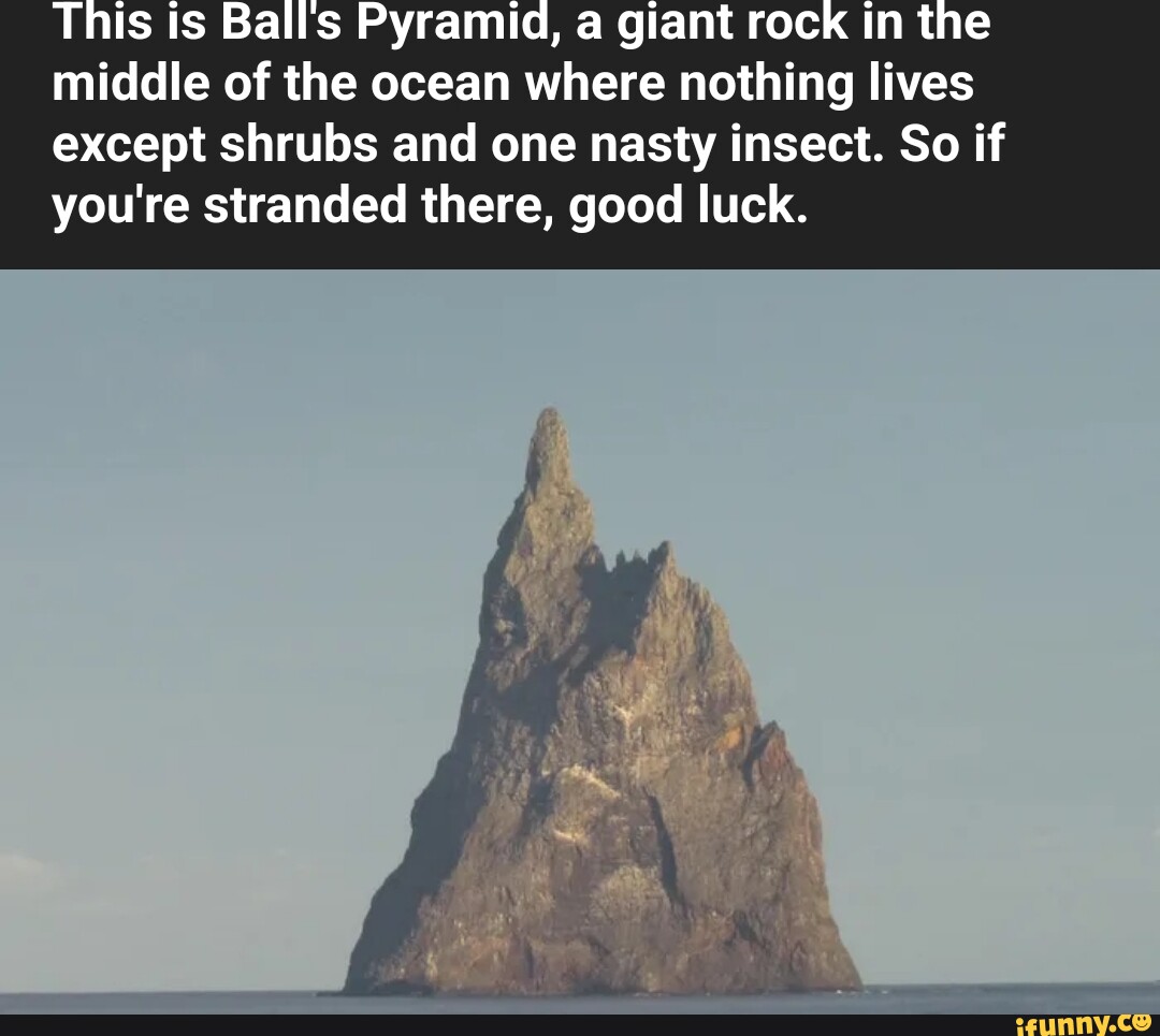 This is Balls Pyramid, a giant rock in the middle of the ocean where ...