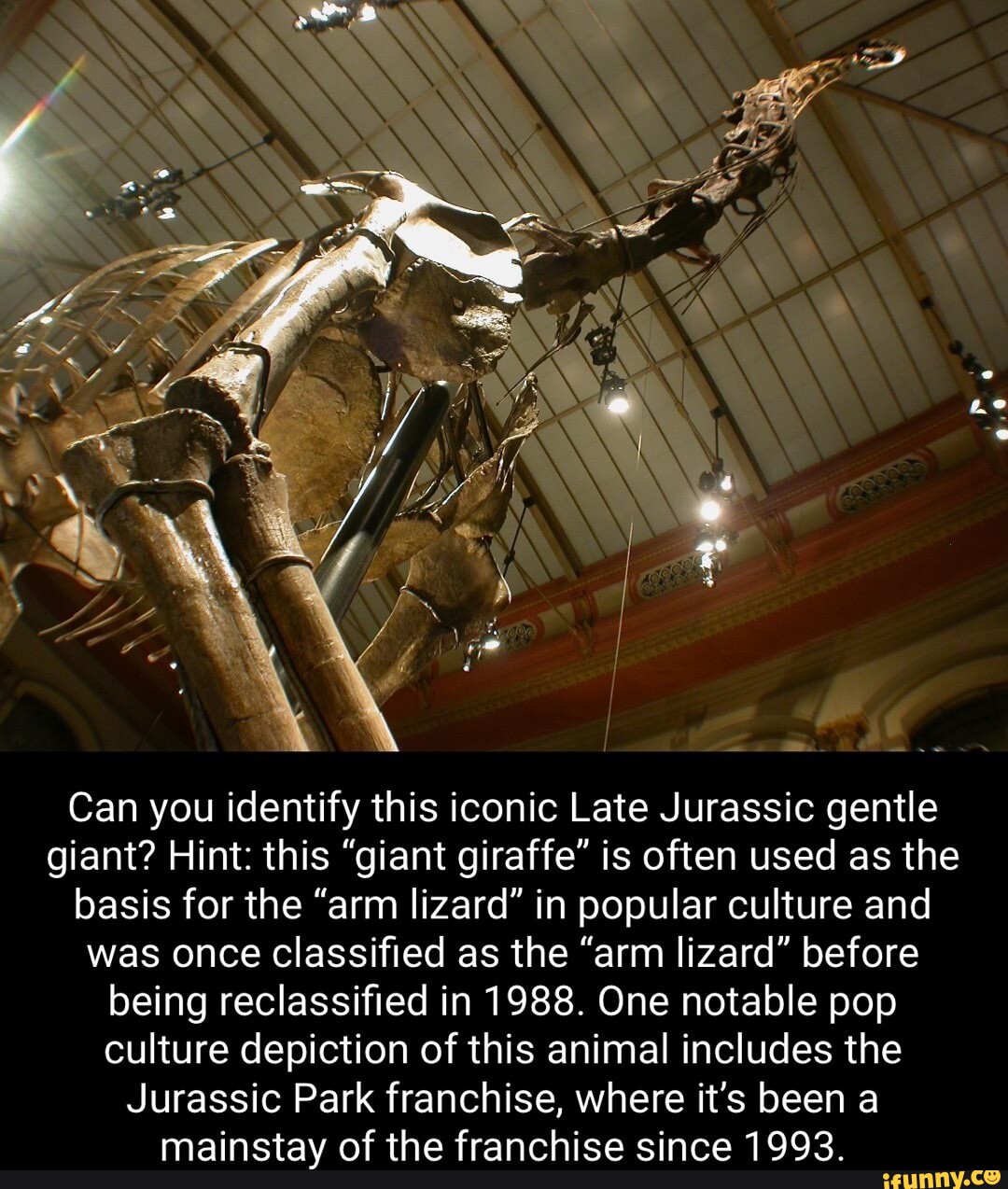 Can you identify this iconic Late Jurassic gentle giant? Hint: this ...