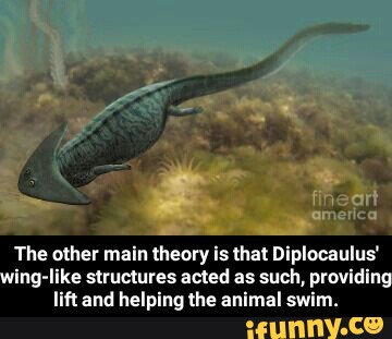 Diplocaulus memes. Best Collection of funny Diplocaulus pictures on iFunny