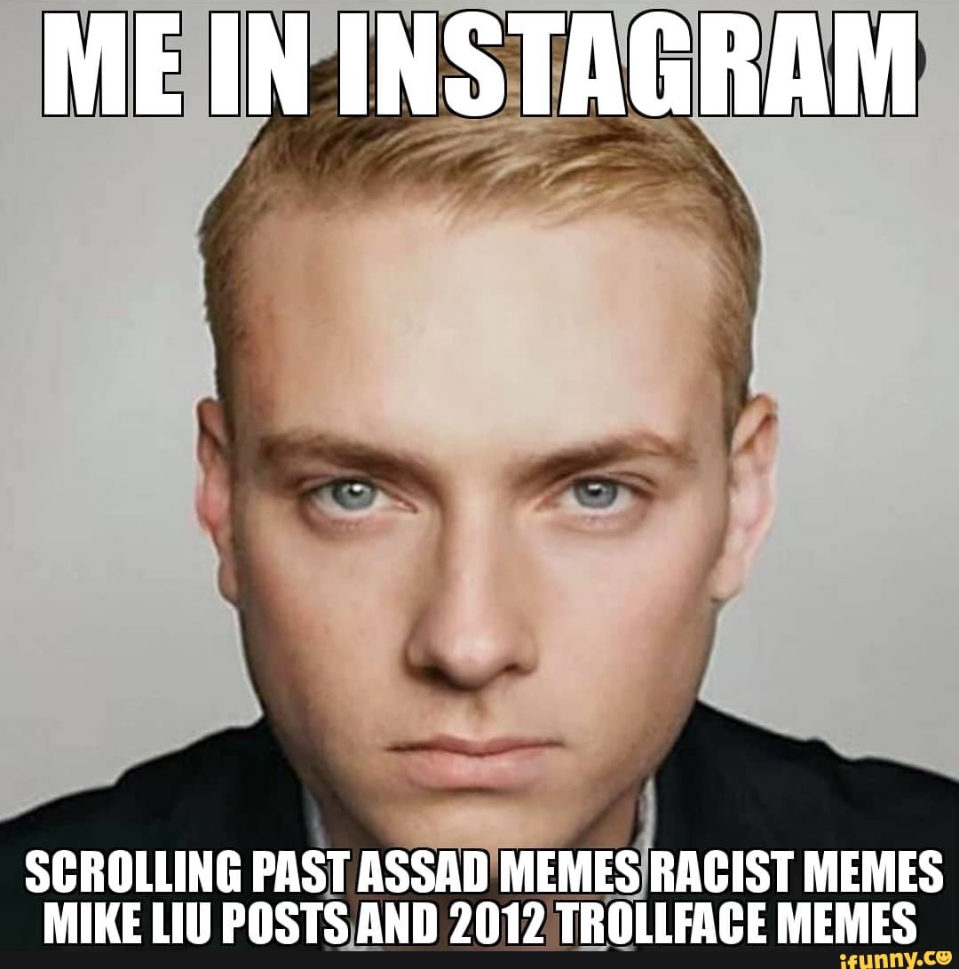 ME IN INSTAGRAM SCROLLING PAST ASSAD MEMES RACIST MEMES MIKE LIU POSTS ...
