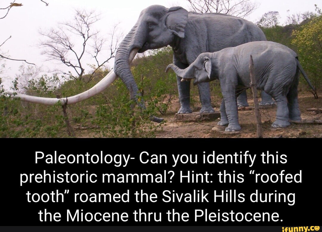 Prehistoric memes. Best Collection of funny Prehistoric pictures on iFunny