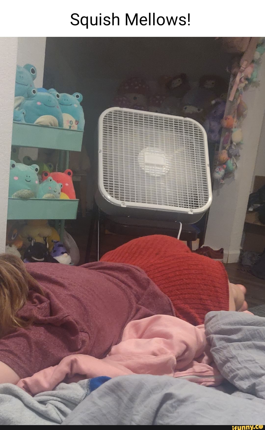 Squish memes. Best Collection of funny Squish pictures on iFunny