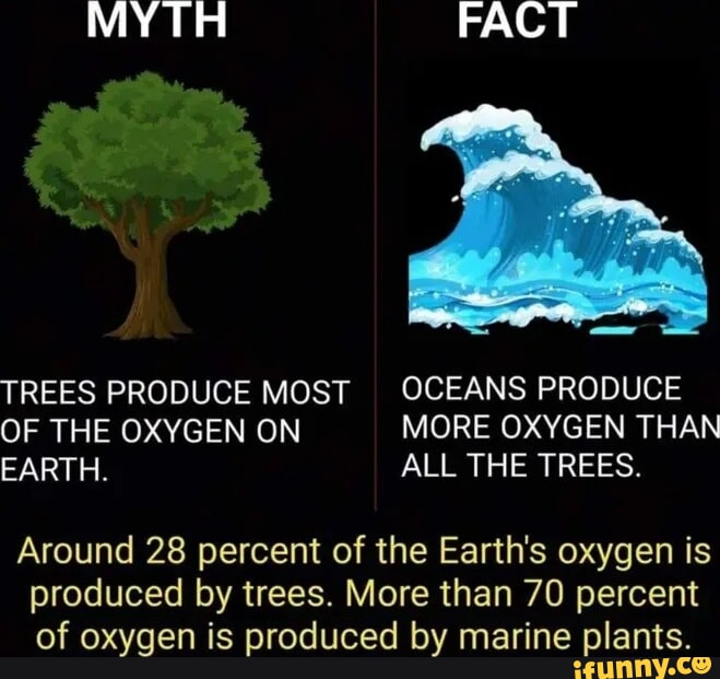 MYTH FACT TREES PRODUCE MOST OCEANS PRODUCE OF THE OXYGEN ON MORE ...