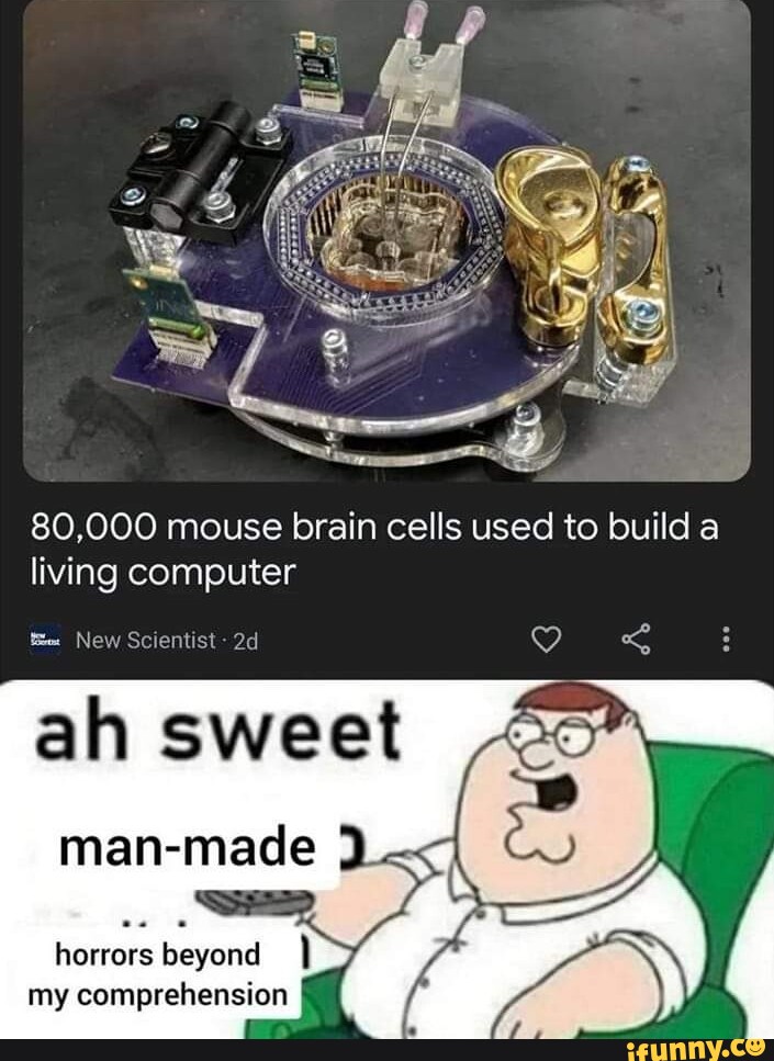 80,000 mouse brain cells used to build a living computer New Scientist ...