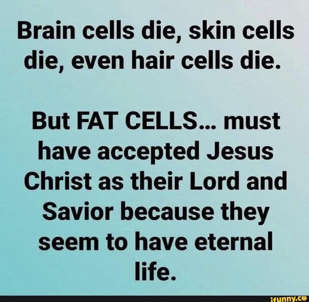 Eternal Life For Real Brain Cells Die Skin Cells Die Even Hair 