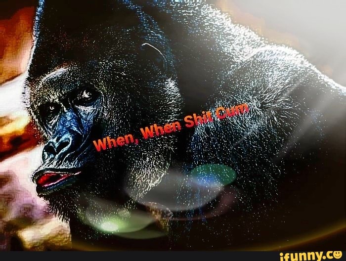 Porchmankeys memes. Best Collection of funny Porchmankeys pictures on ...