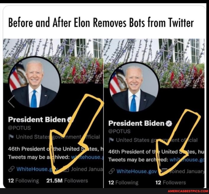 Before and After Elon Removes Bots from Twitter President Biden 46th ...