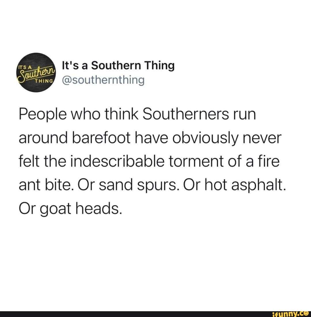 Video memes k4oPW6ae7 by Marla_Singer: 1.0K comments - )