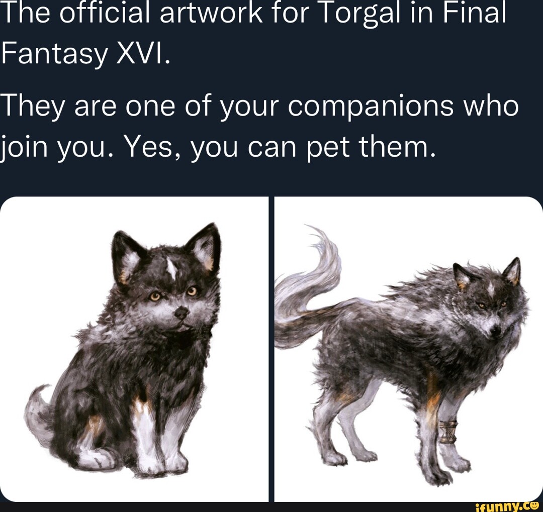 Picture memes AZqtKI36A by puffer_bish - )