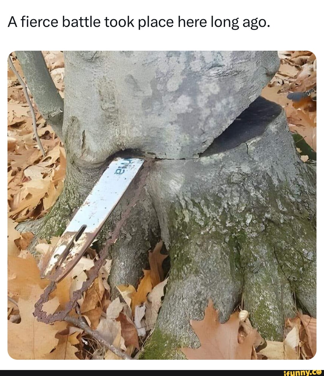 Wholesome-Iesbiab Spotify: [on shuffle] Me: then fucking act like it ...