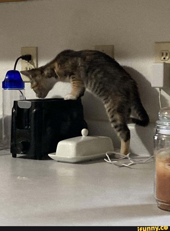 Electrocute memes. Best Collection of funny Electrocute pictures on iFunny