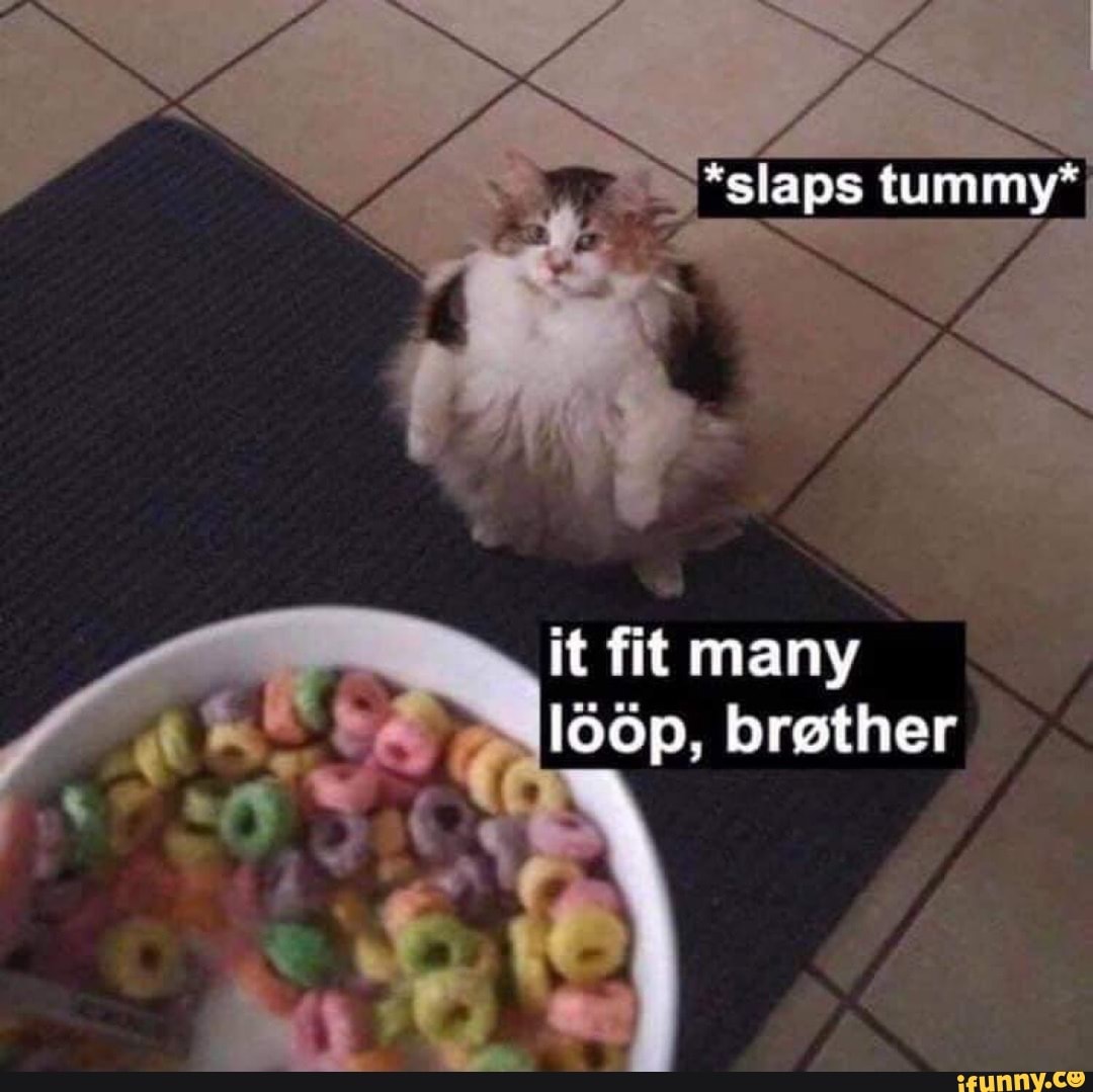 Slaps Tummy It Fit Many Loop Brother Ifunny