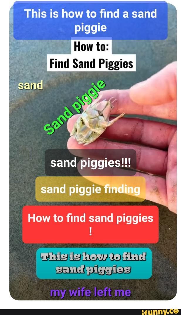Piggie memes. Best Collection of funny Piggie pictures on iFunny