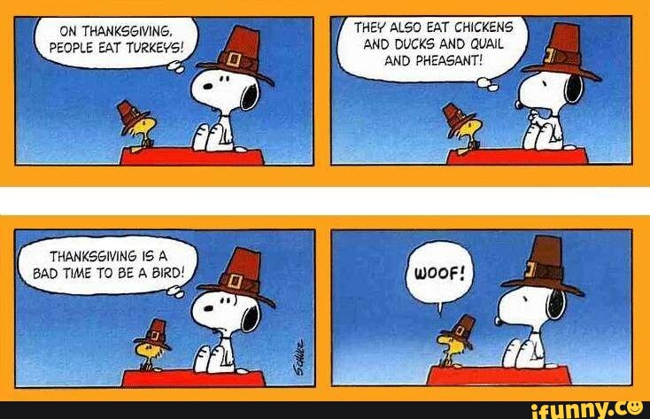 Quail memes. Best Collection of funny Quail pictures on iFunny