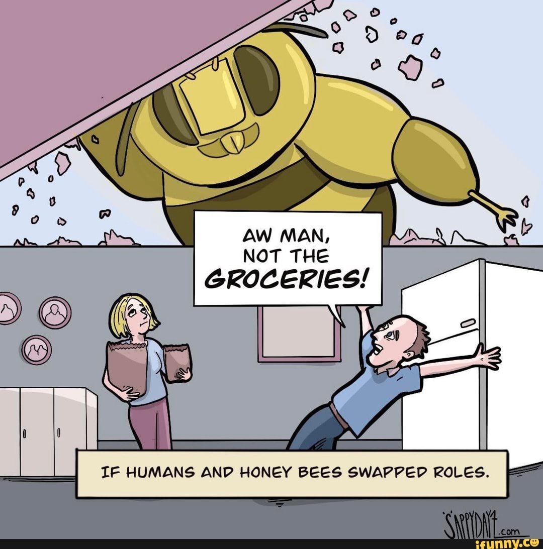 GROCERIES! LE HUMANS AND HONEY BEES SWAPPED ROLES. - iFunny