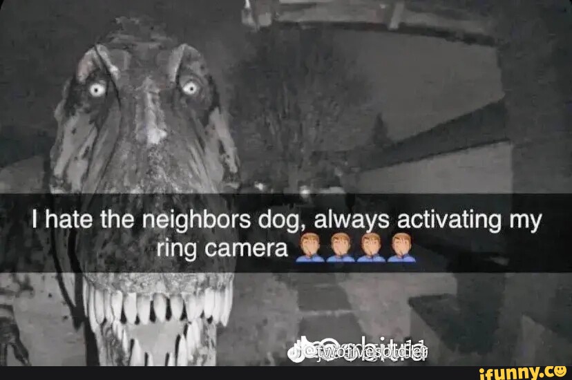 I hate the neighbors dog, al activating my ring camera - iFunny