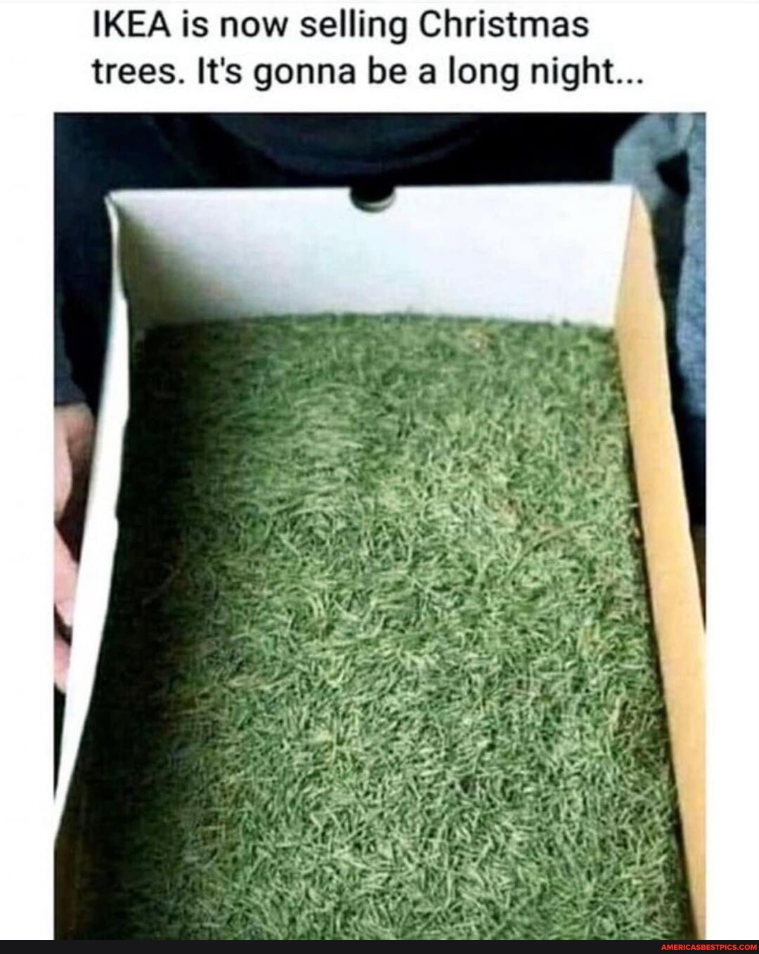 IKEA is now selling Christmas trees. It's gonna be a long night ...