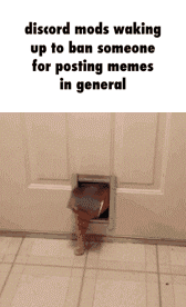 Guysh pleash no memesh in general - discord mods waking up to ban som ...