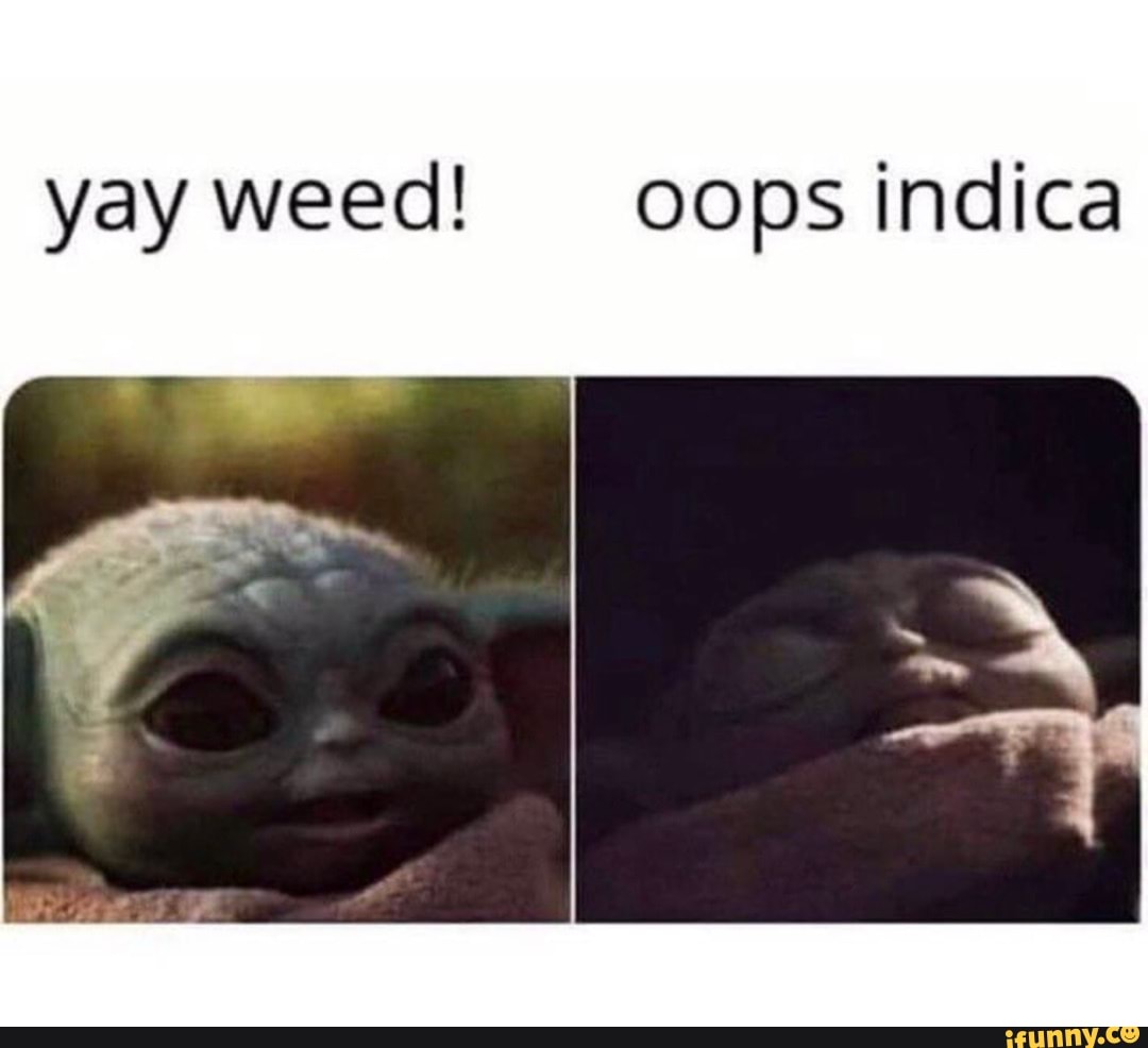 Yay weed! oops indica - iFunny