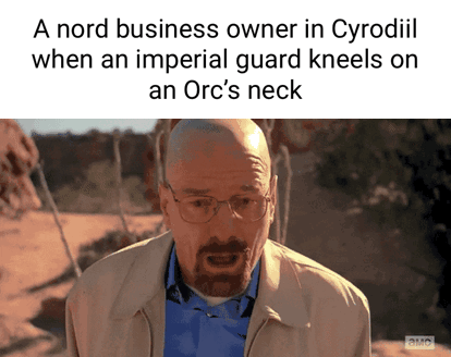 Anord business owner in Cyrodiil when an imperial guard kneels on an ...