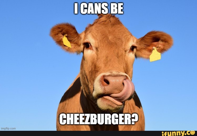 Pweese memes. Best Collection of funny Pweese pictures on iFunny