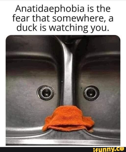 Anatidaephobia memes. Best Collection of funny Anatidaephobia pictures ...