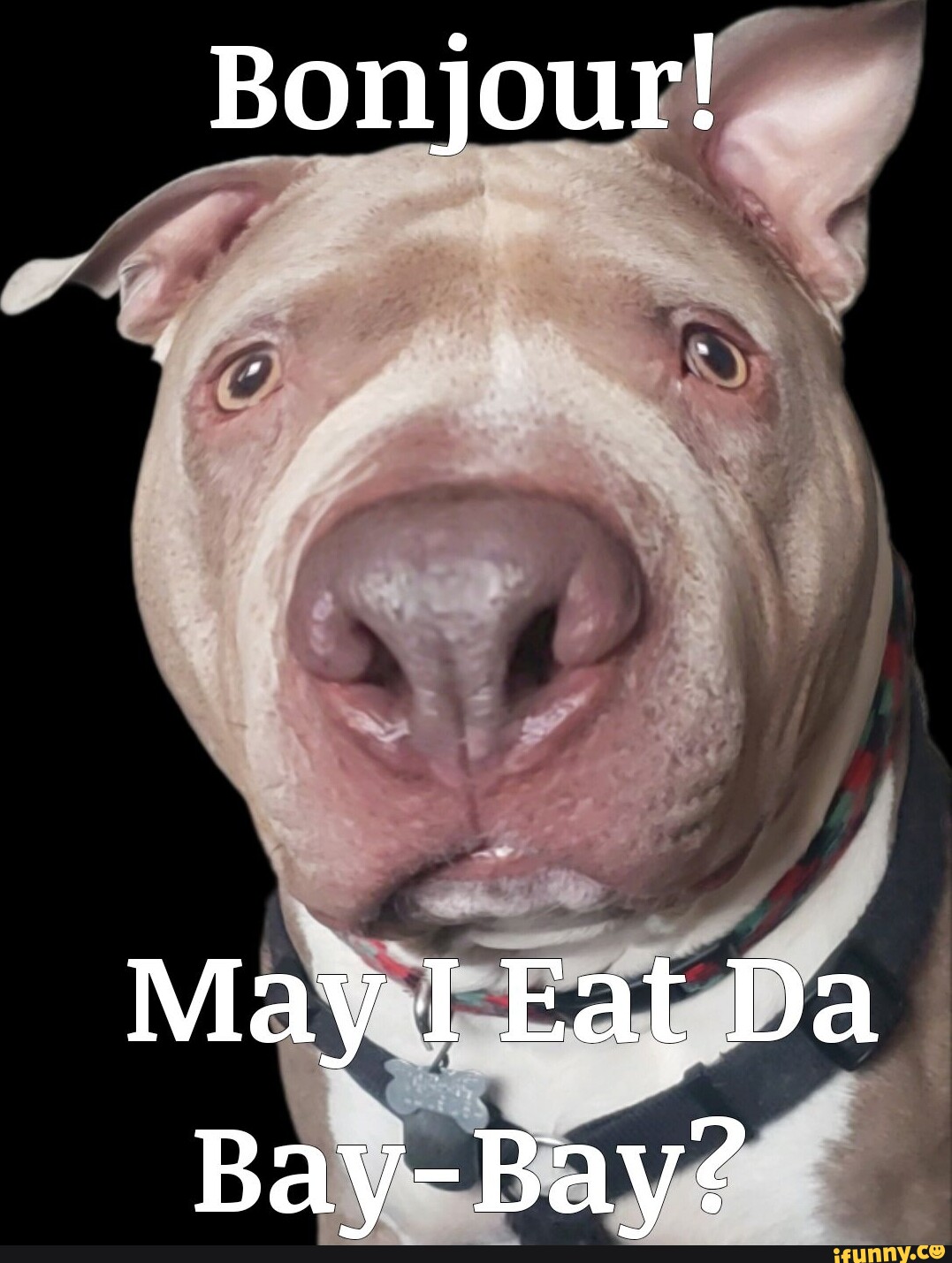 Bonjour! May I Eat Da Bay - iFunny