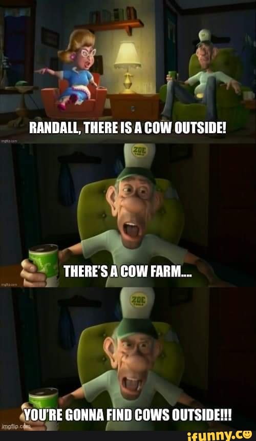 RANDALL, THERE IS A COW OUTSIDE! THERE'S A COW FARM... YOU'RE GONNA ...