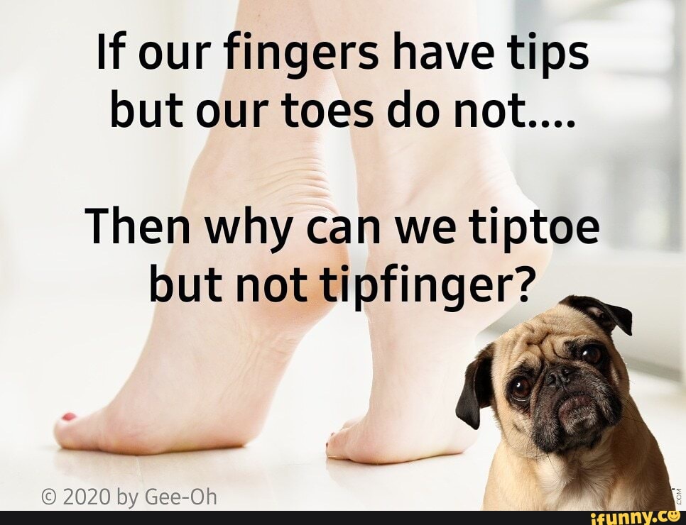 If our fingers have tips but our toes do not.... Then why can we tiptoe ...