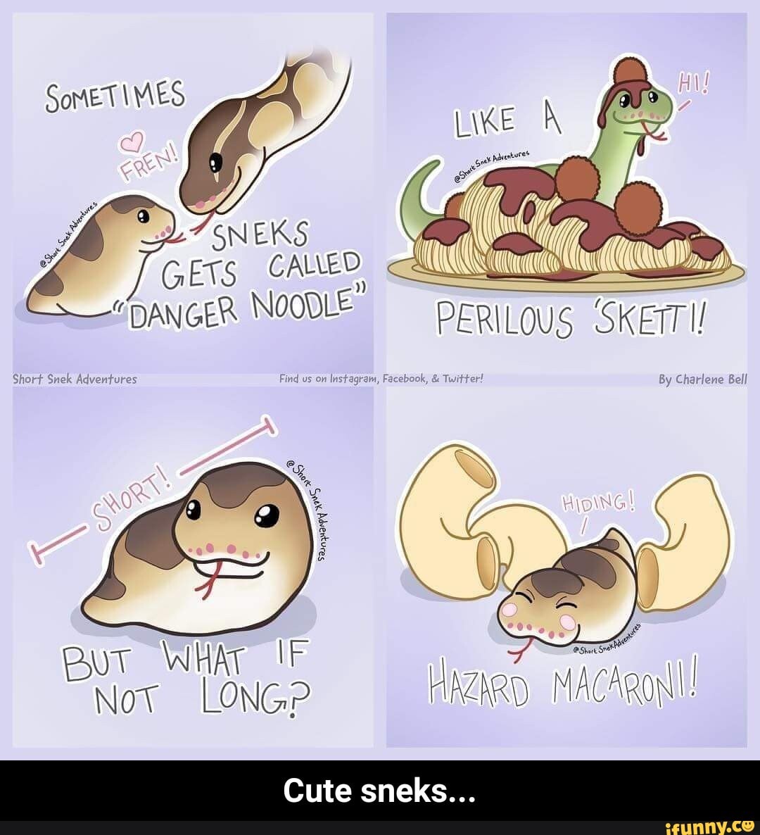 Cute sneks... - Cute sneks... - iFunny