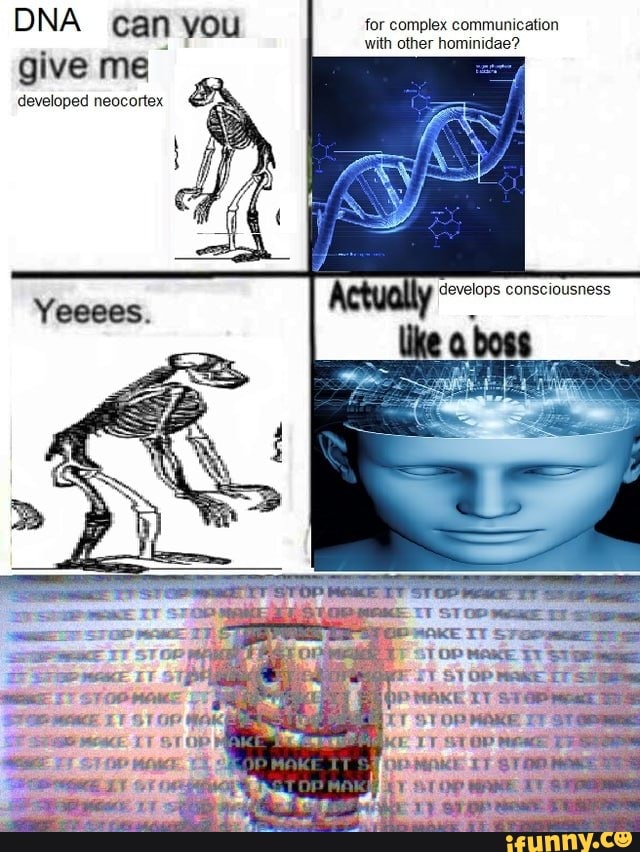 DNA can you give me developed neocortex tor complex Communic ation ...
