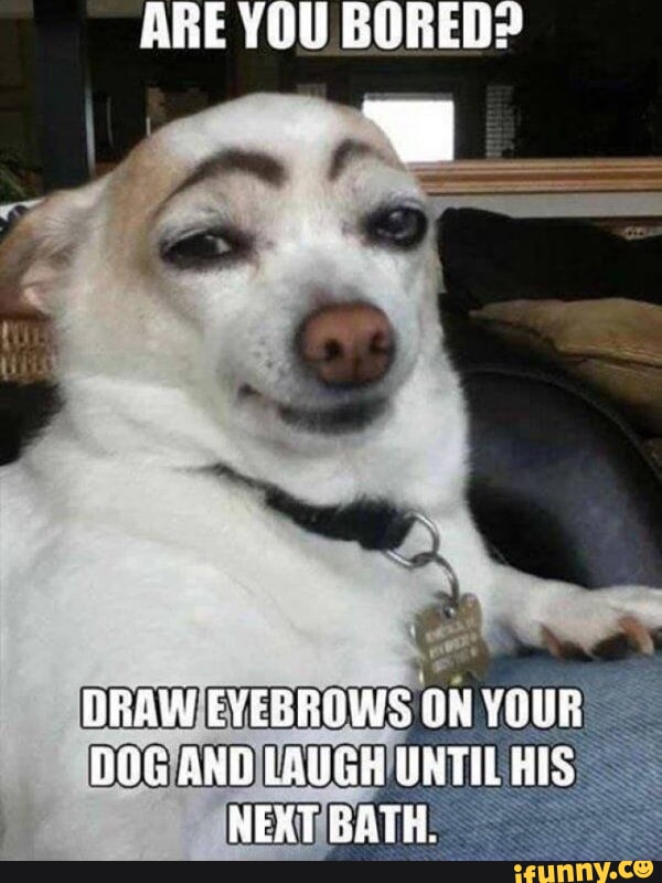Yeppers memes. Best Collection of funny Yeppers pictures on iFunny