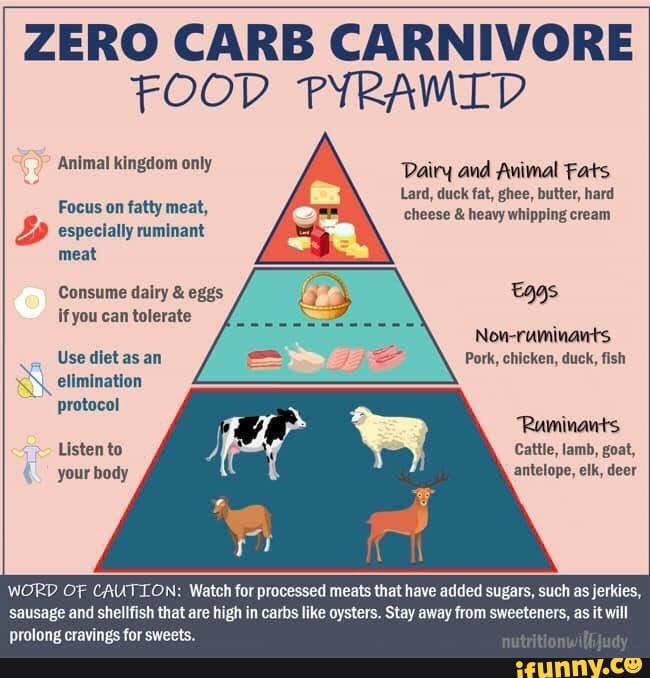 ZERO CARB CARNIVORE FOOD PYRAMID Animal kingdom only Dairy and Animal ...