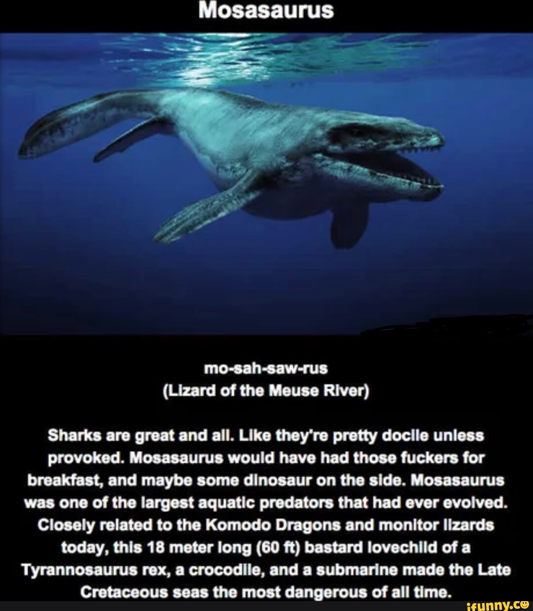 Mosasaurus mo-sah-saw-Tus (Lizard of the Meuse River) Sharks are great and all. Like they're ...