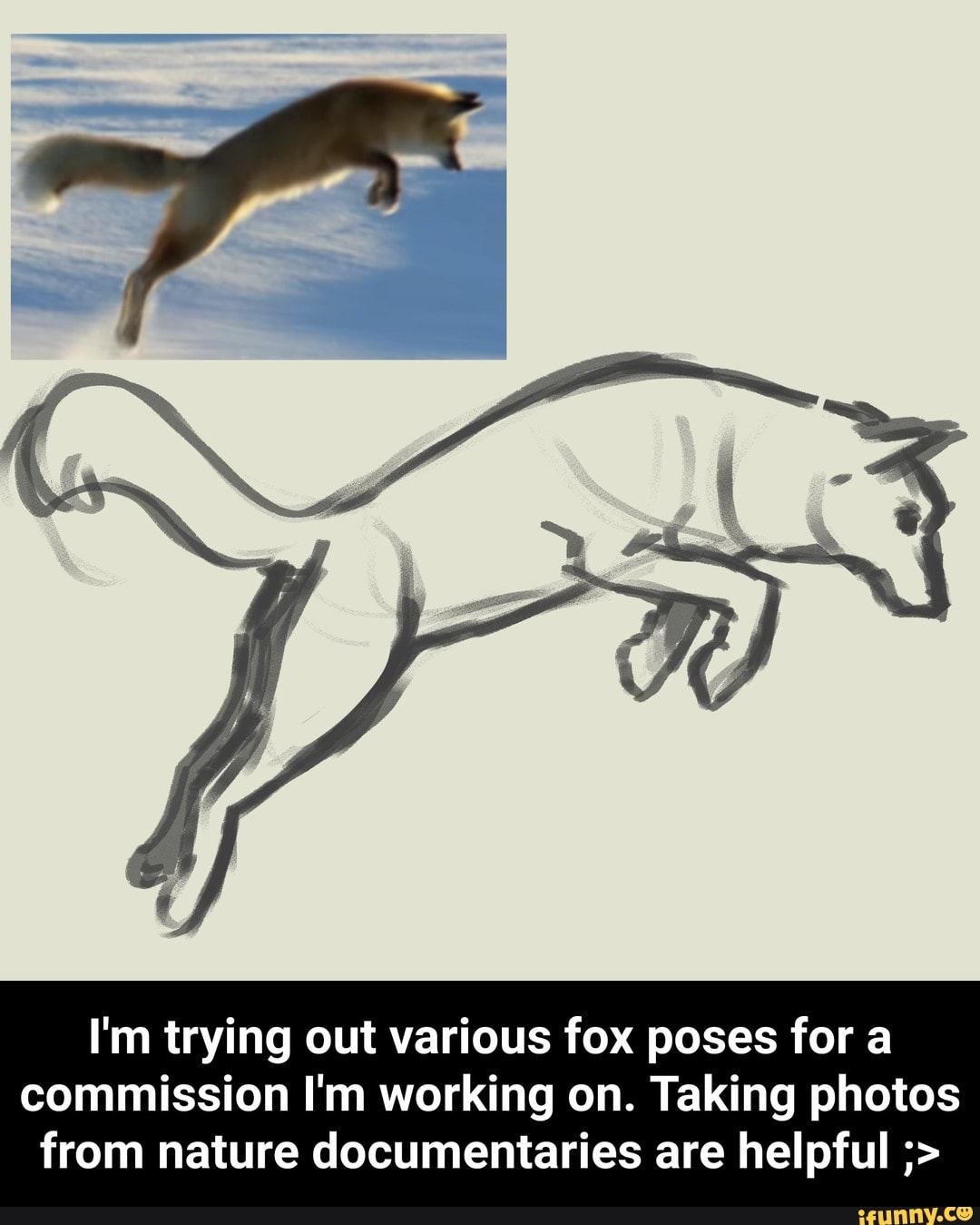 I'm trying out various fox poses for a commission I'm working on ...