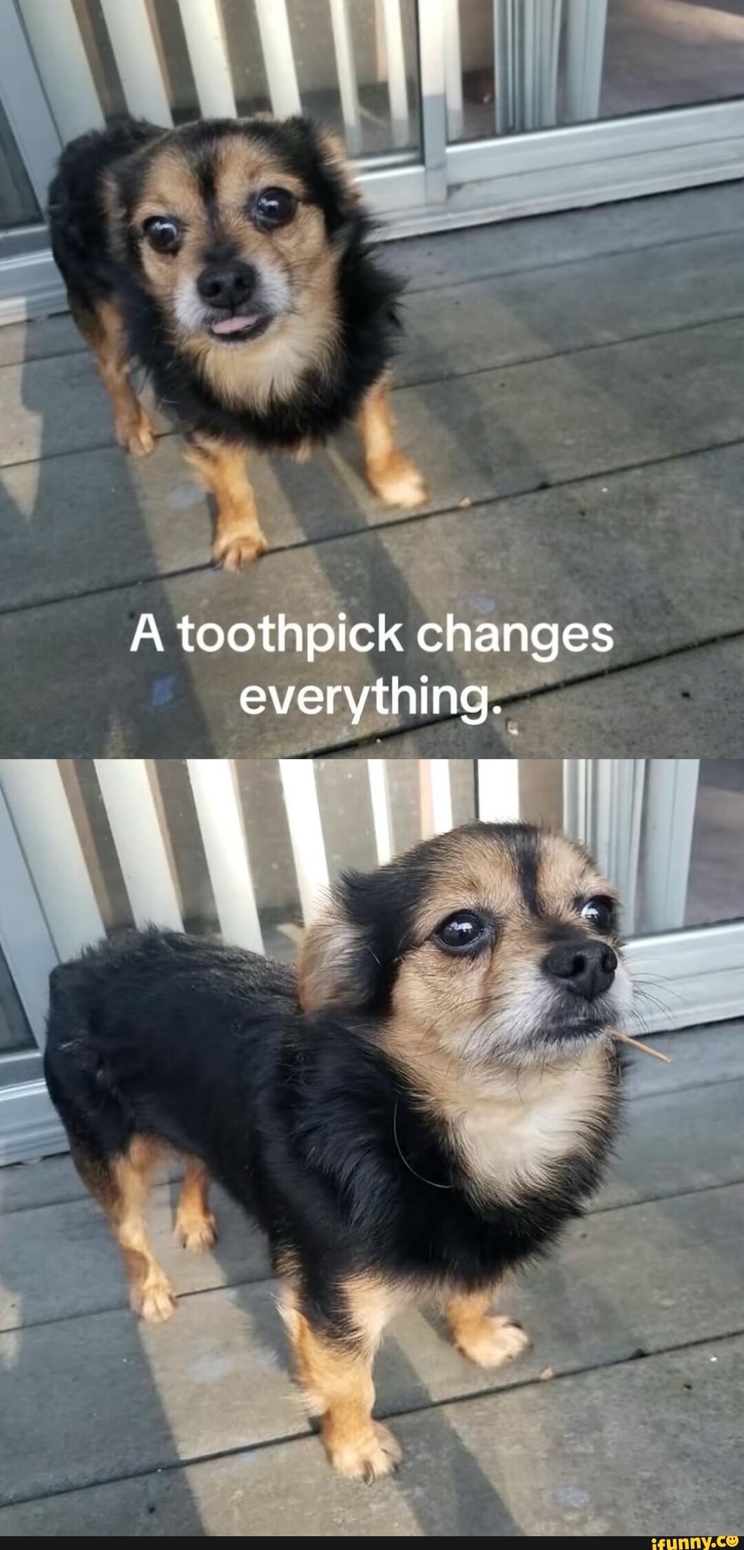 A toothpick changes everything. - iFunny