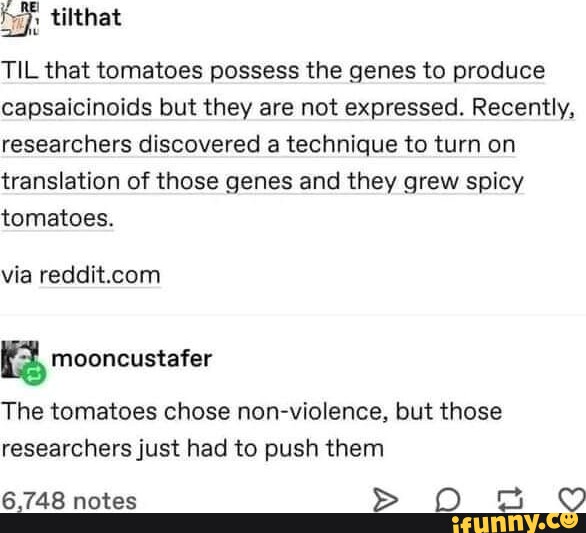 My Hero Academia Changes Momo's Controversial Suit In New Game ran''t ...