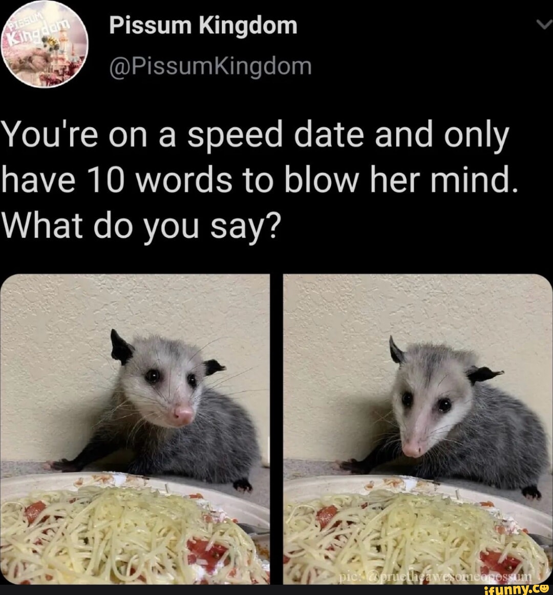 Pissum Kingdom You're on a speed date and only have 10 words to blow ...